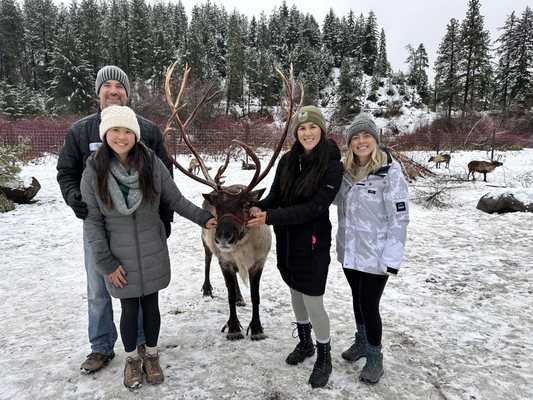 LEAVENWORTH REINDEER FARM - Updated July 2025 - 536 Photos & 163 ...