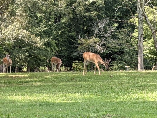 BERRY COLLEGE - Updated July 2025 - 72 Photos & 11 Reviews - 2277 ...