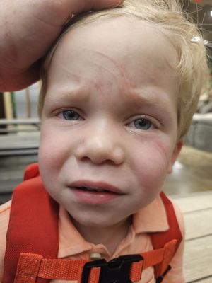 JUNGLE REEF - Updated October 2024 - 12 Photos & 16 Reviews - 750 ...