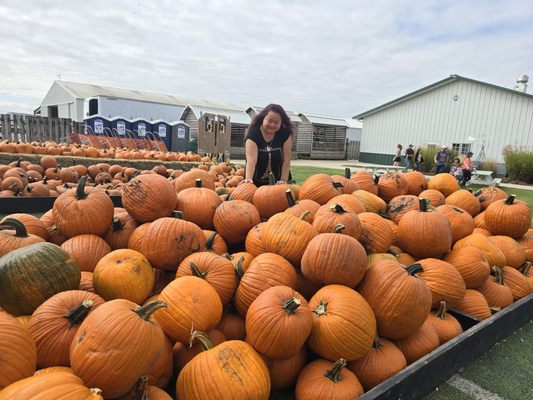 GOEBBERT’S FARM - Updated December 2025 - 341 Photos & 193 Reviews ...