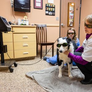 HESS RIDGE ANIMAL HOSPITAL - Updated December 2025 - 21 Photos - 12225 ...