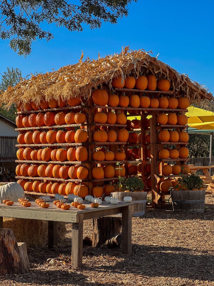 SONS FARM FRESH - Updated January 2026 - 93 Photos & 34 Reviews - 1936 ...