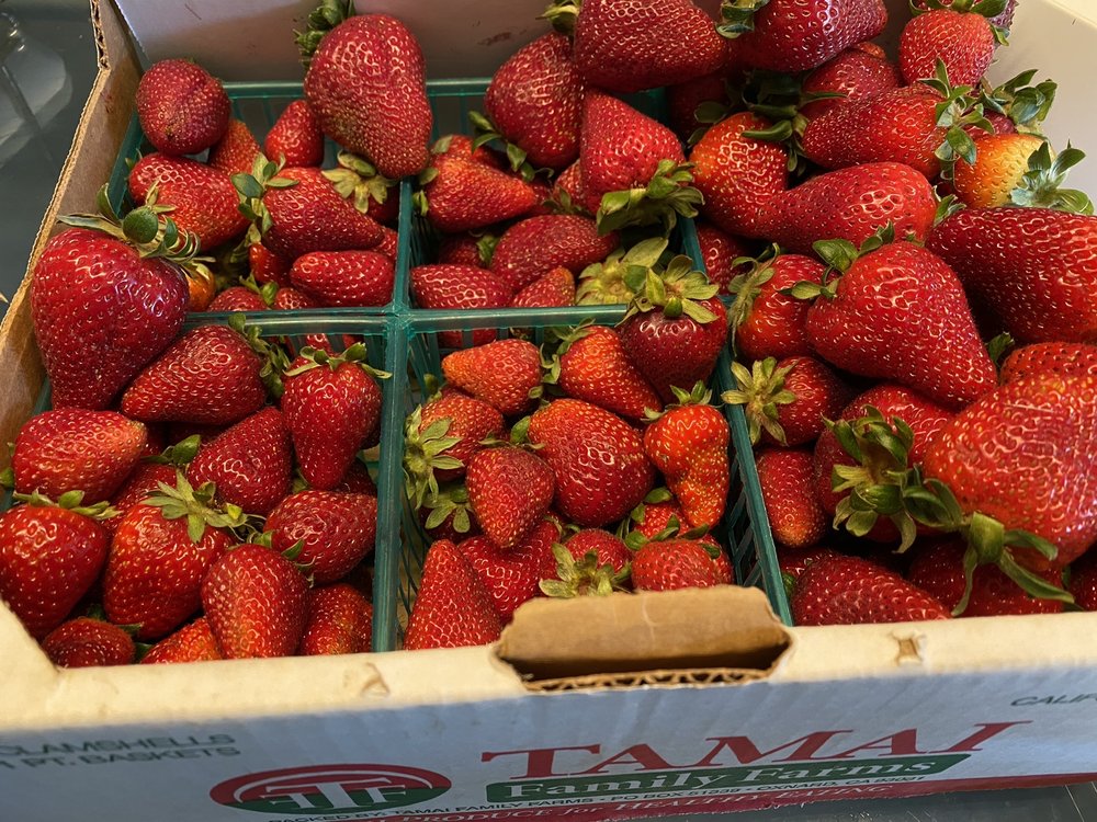 TAMAI FAMILY FARMS - Updated December 2025 - Oxnard, California - Pop ...