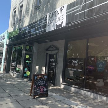 CATNIP CAT CAFE - Updated January 2026 - 198 Photos & 52 Reviews - 1611 ...