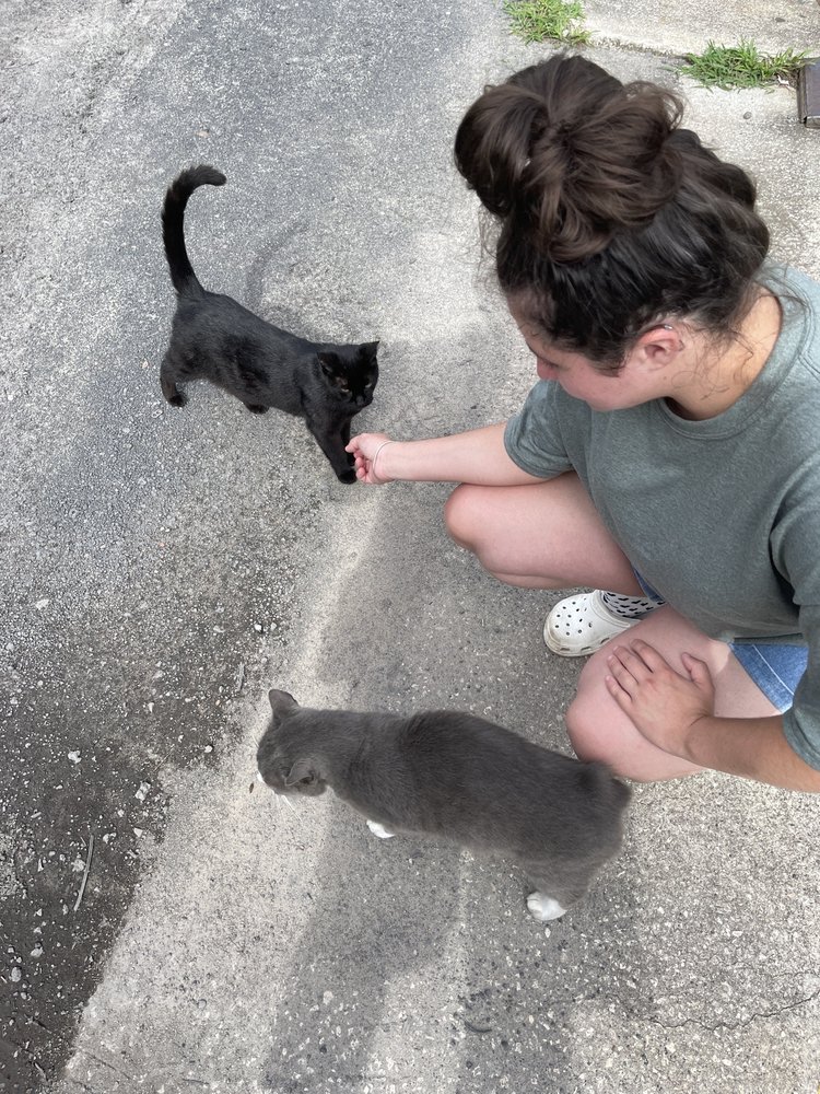 SMITTY’S MUFFLER AND WELDING SHOP - 4017 Bronco Rd, Middleburg, FL - Yelp