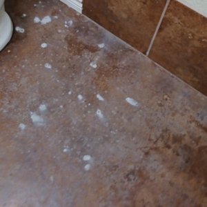 RV HAVEN PARK - Updated April 2025 - 10267 N Dowling Rd, College ...