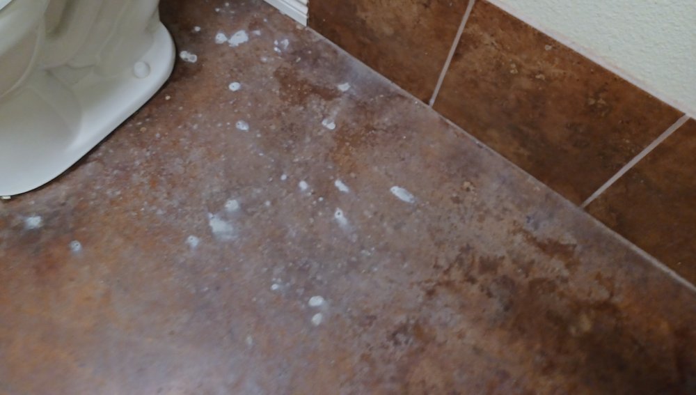 AGGIELAND RV PARK - Updated January 2026 - 10 Photos & 15 Reviews ...