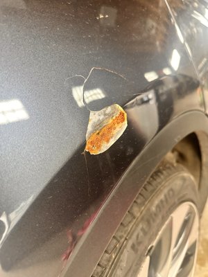 TESLA - Updated December 2025 - 33 Photos & 29 Reviews - 7444 E Hampton ...