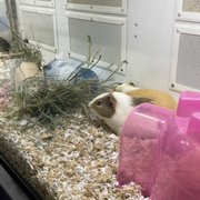 THAT FISH PLACE - THAT PET PLACE - 134 Photos & 115 Reviews - 237 ...