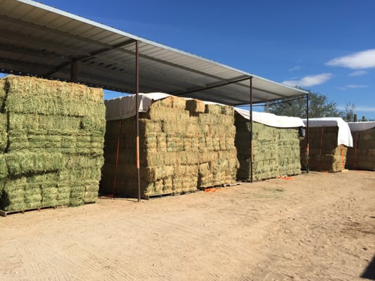 TUCSON HAY SALES - Updated October 2024 - Tucson, Arizona - Livestock ...