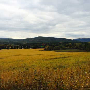 RT. 80 QUARRY RIDGE STABLES - Updated October 2025 - 28 Photos & 11 ...