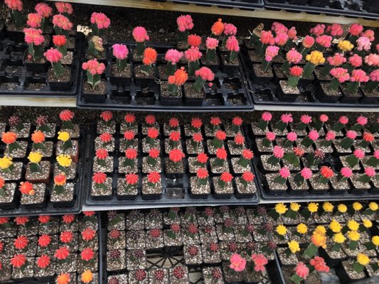 ISAAC FARMS - 451 Photos & 105 Reviews - 18800 SW 177th Ave, Miami ...