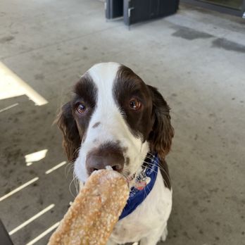 MEMPOPS - Updated December 2025 - 37 Photos & 23 Reviews - 1350 ...