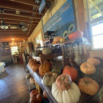 SWEETFIELDS FARM - Updated September 2025 - 359 Photos & 73 Reviews ...