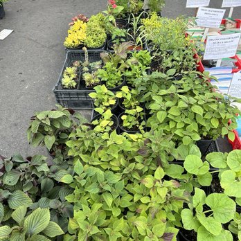 GOLDEN WEST COLLEGE SWAP MEET - Updated June 2026 - 513 Photos & 183 ...