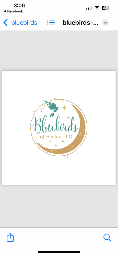 BLUEBIRDS OF BOSTON - Updated December 2025 - 39 Epping St, Arlington ...