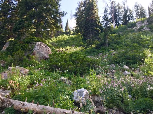 TONY GROVE LAKE - Updated April 2026 - Richmond, Utah - Campgrounds - Yelp
