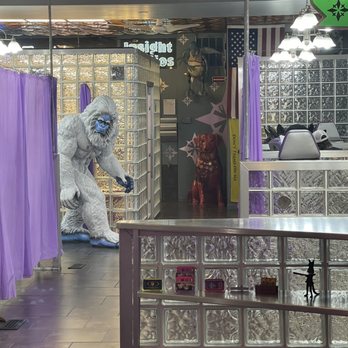 INSIGHT STUDIOS - Updated November 2025 - 356 Photos & 1140 Reviews ...