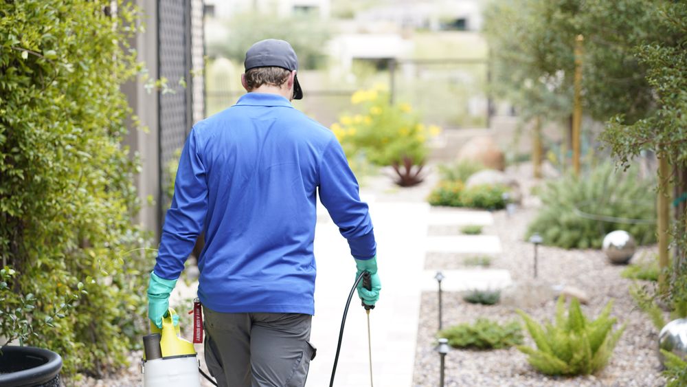 GREEN ARROW PEST SOLUTIONS - Updated January 2026 - 55 Photos & 19 ...