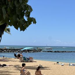 HAU TREE - Updated August 2025 - 2813 Photos & 900 Reviews - 2863 ...