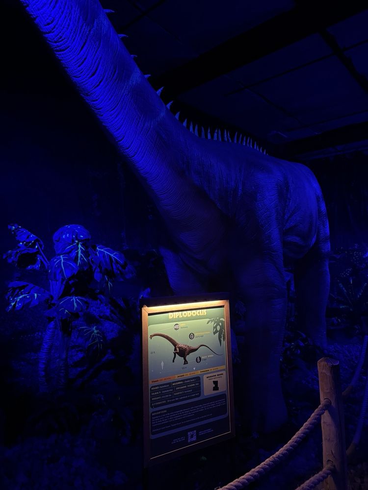 DINOS ALIVE - Updated December 2025 - 39 Photos & 13 Reviews - 31 15th ...