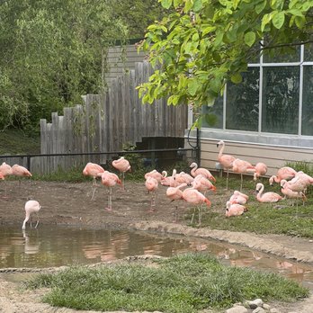 BLANK PARK ZOO - Updated October 2025 - 344 Photos & 85 Reviews - 7401 ...