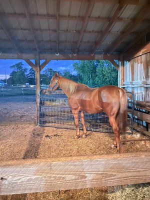 STEED’S DAIRY - Updated December 2025 - 119 Photos & 20 Reviews - 4634 ...