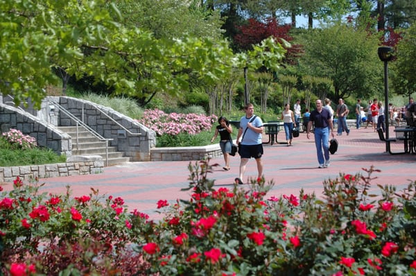 LIFE UNIVERSITY - Updated December 2025 - 32 Photos & 42 Reviews - 1269 ...