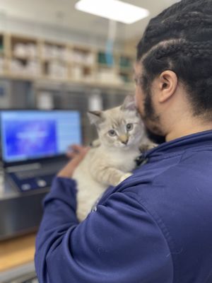 CEDAR VETERINARY HOSPITAL - Updated April 2025 - 174 Photos & 240 ...