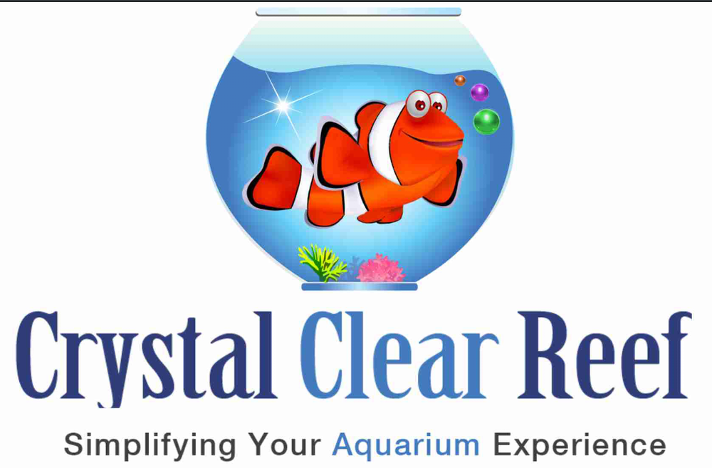 CRYSTAL CLEAR REEF - Updated June 2025 - 2833 Clark St, Apopka, Florida ...
