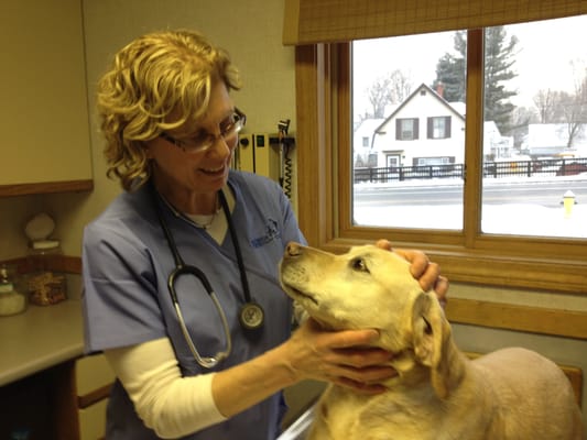 RIVERSIDE VETERINARY CLINIC - Updated January 2026 - 56 Reviews - 664 ...