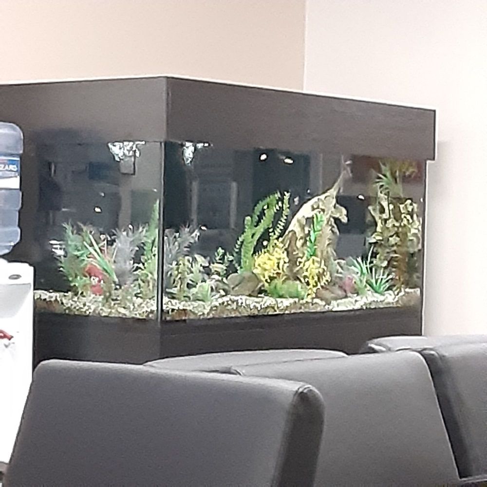 JESSICA BERMAN, MD - FAMILY PRACTICE NISKAYUNA - Updated November 2025 ...