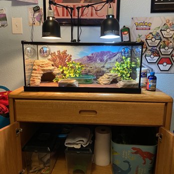 PETSMART - Updated December 2025 - 38 Photos & 60 Reviews - 601 E ...