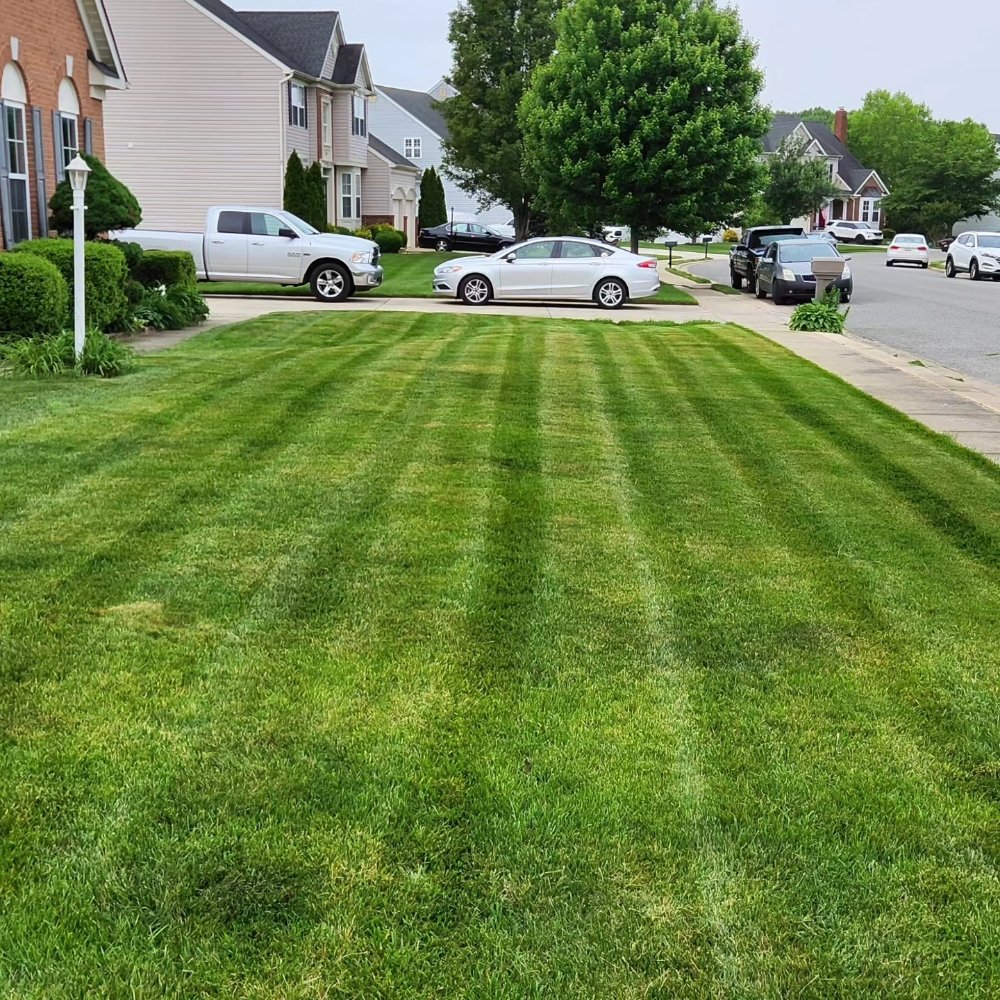 OMAR S LAWN CARE Updated June 2024 Request A Quote 17 Photos omar-s-lawn-care-updated-june-2024-request-a-quote-17-photos