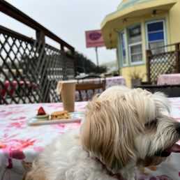 LOVEY’S TEA SHOPPE - Updated July 2025 - 712 Photos & 330 Reviews ...