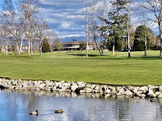 QUILCHENA GOLF AND COUNTRY CLUB - 127 Photos - 3551 Granville Avenue ...