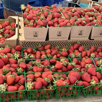 ALEMANY FARMERS’ MARKET - Updated December 2025 - 896 Photos & 441 ...