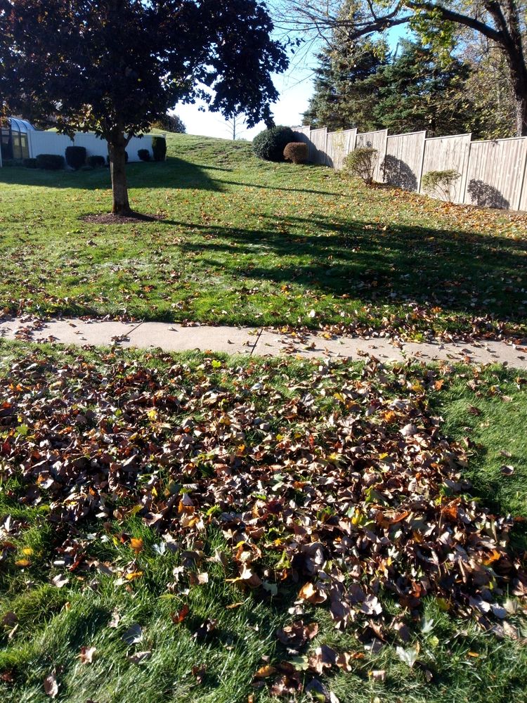 QUALITY LINES LAWN CARE - Updated September 2025 - 37 Webster Square Rd ...