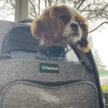 SUMO DOG - Updated March 2025 - 59 Photos & 16 Reviews - 610 1st St ...