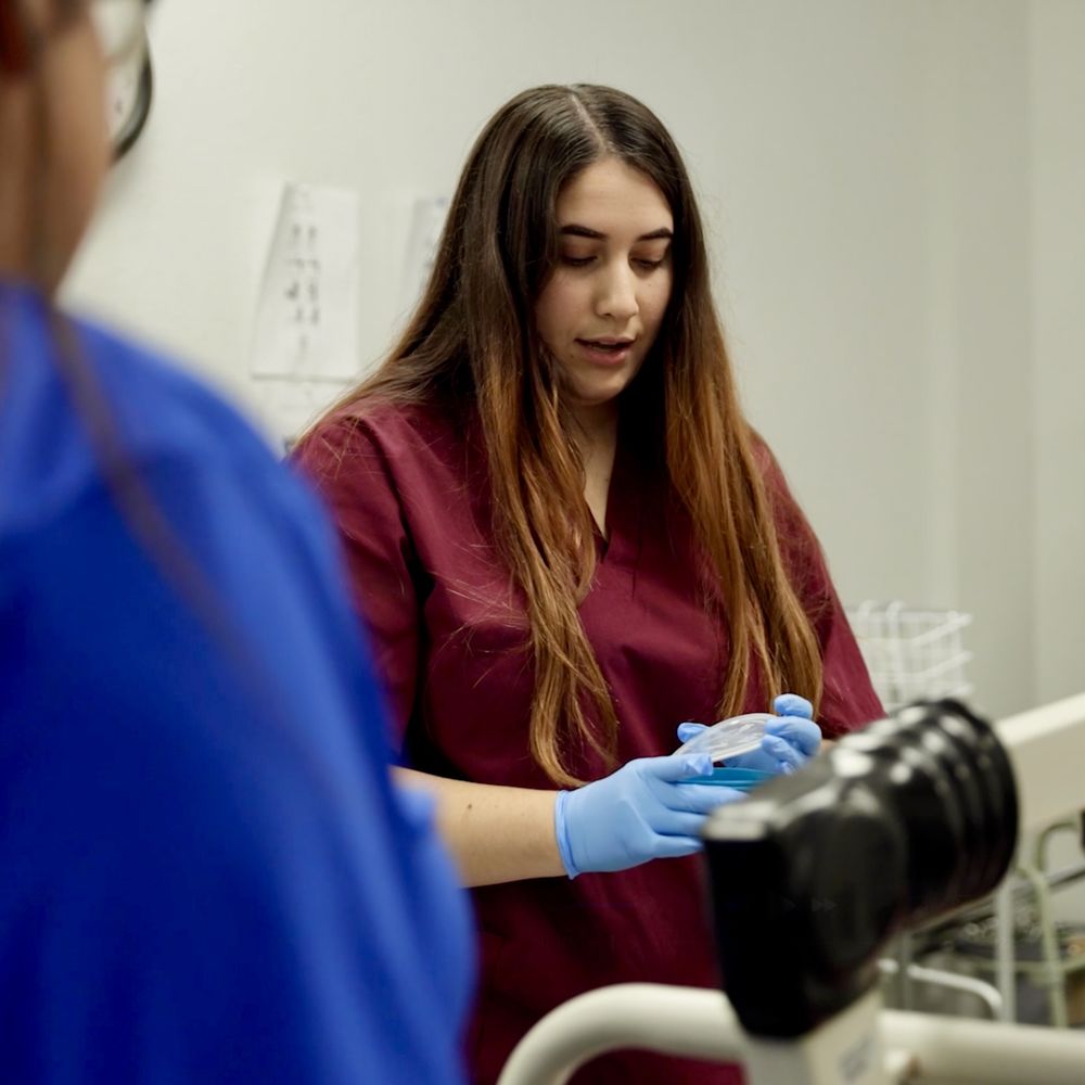 MISSION CAREER COLLEGE - Updated October 2025 - 16 Photos - 15447 ...