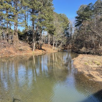 MOJAVE - Updated May 2024 - 1121 Photos & 629 Reviews - 6450 Powers ...