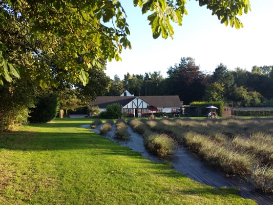 THE SWETTENHAM ARMS - Updated December 2025 - 28 Photos - Swettenham ...