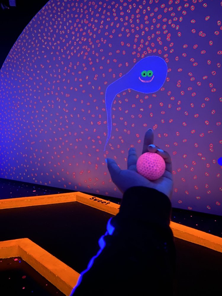 WEST COAST MINI PUTT - Updated October 2025 - 56 Photos & 29 Reviews ...