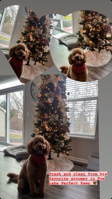 TAIL SPIN LLC - Updated June 2026 - 22 Photos - 1400 Oakwood Ct ...