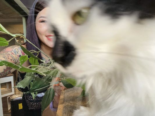 PHX CAT CAFE - Updated November 2025 - 511 Photos & 158 Reviews - 147 E ...