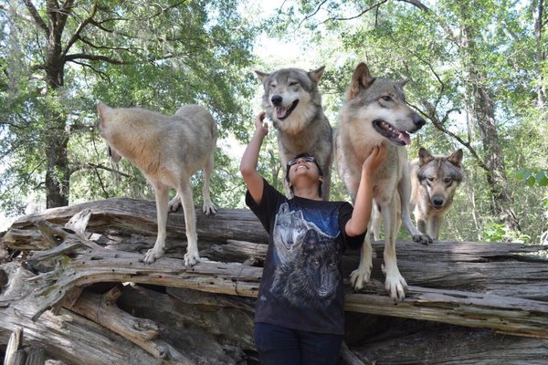 SEACREST WOLF PRESERVE - 79 Photos & 39 Reviews - Zoos - 3449 Bonnett ...