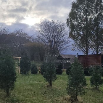 THOMPSON’S TREE FARM - Updated October 2025 - 33 Photos & 13 Reviews ...