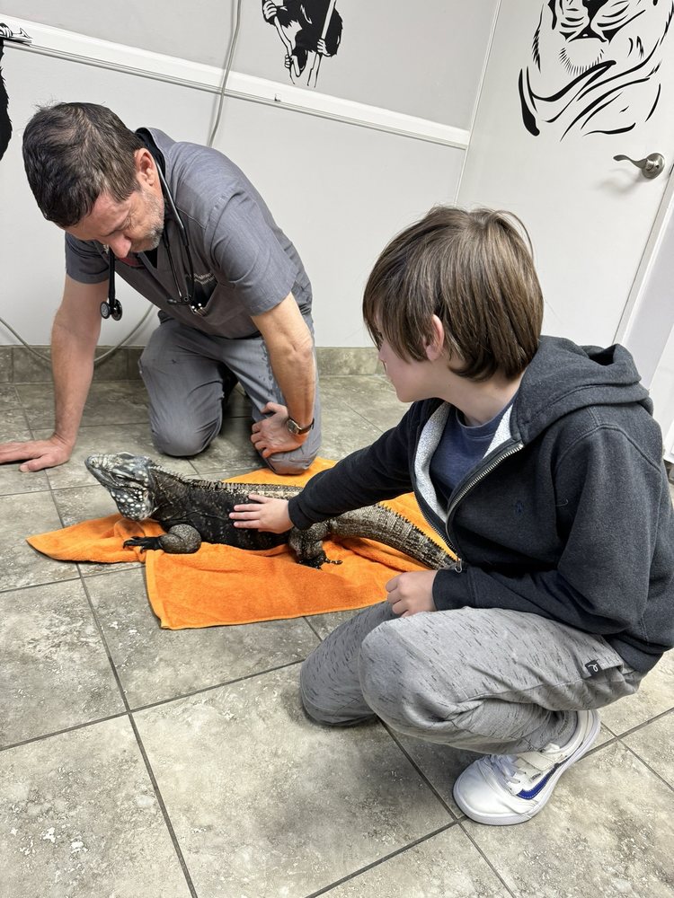 ALL ANIMALS VETERINARY HOSPITAL - Updated April 2025 - 117 Photos & 118 ...