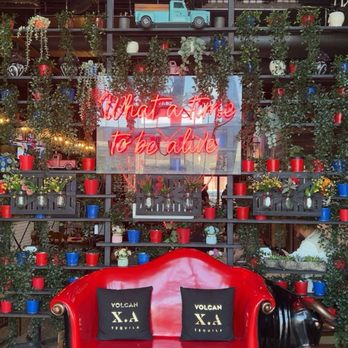 VIVA TORO - Updated December 2025 - 255 Photos & 134 Reviews - 987 ...