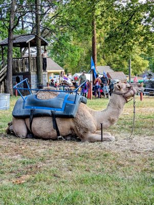 KANSAS CITY RENAISSANCE FESTIVAL - Updated September 2025 - 264 Photos ...